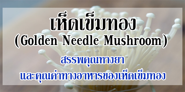 สะตอ (Pakria) มารู้จักสะตอให้มากขึ้น กับลักษณะทางพฤกษศาสตร์และสรรพคุณ ...